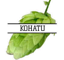 Пивоварение :: Хмель БЕЗ ВАКУУМА :: Хмель Kohatu (Новая Зеландия)
