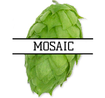 Пивоварение :: Хмель БЕЗ ВАКУУМА :: Хмель Mosaic (США)