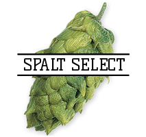Пивоварение :: Хмель БЕЗ ВАКУУМА :: Хмель Spalt Select (Германия)